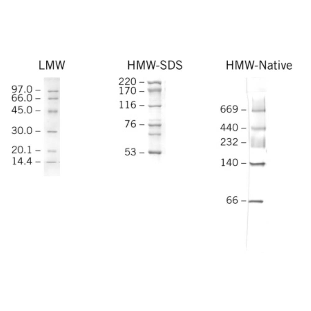 LMW-SDS Marker Kit | 17044601 | CYTIVA | SLS