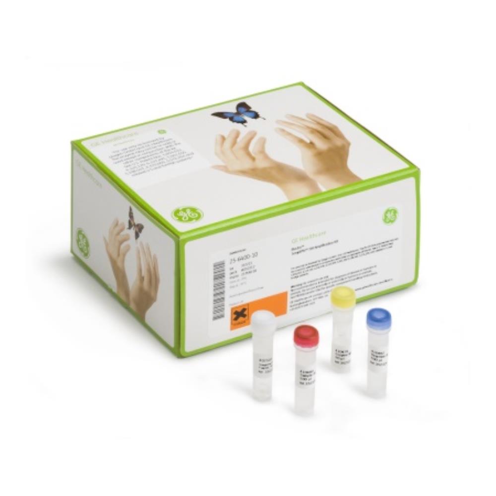 illustra TempliPhi 500 Amplifi | 25640050 | CYTIVA | SLS