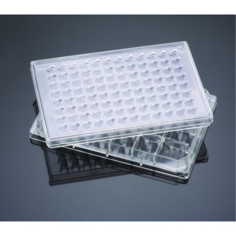 Falcon 96 Well Multiwell Inser | 351131 | FALCON | SLS