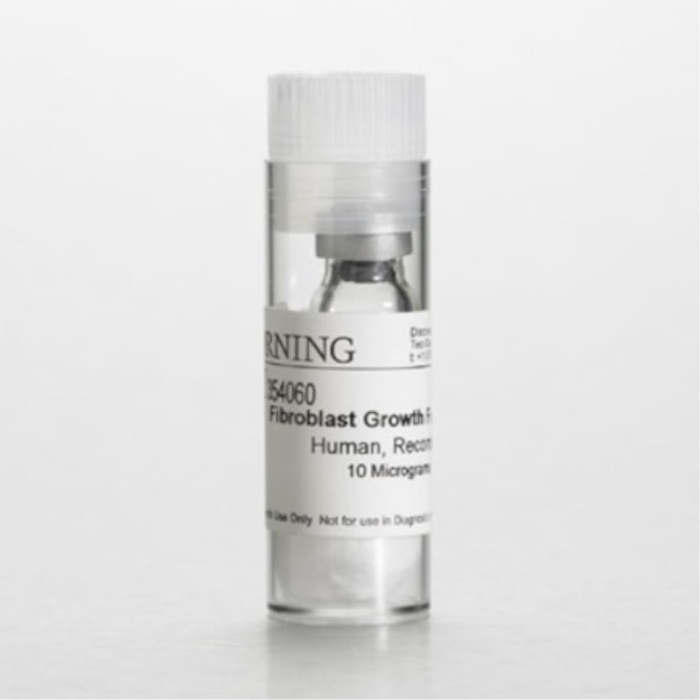 Basic Fibroblast Growth Factor | 356060 | CORNING | SLS