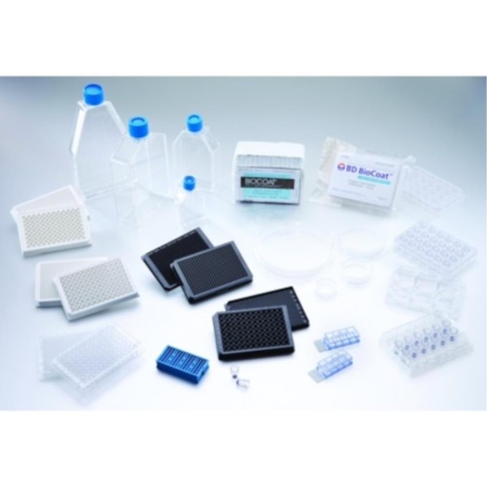 BioCoat Collagen I 96 Well Cle | 356407 | CORNING | SLS