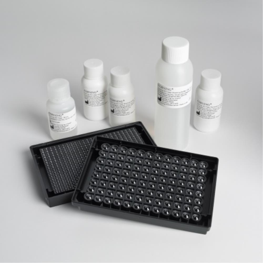 Corning 3D Clear Starter Kit - | 5730 | CORNING | SLS