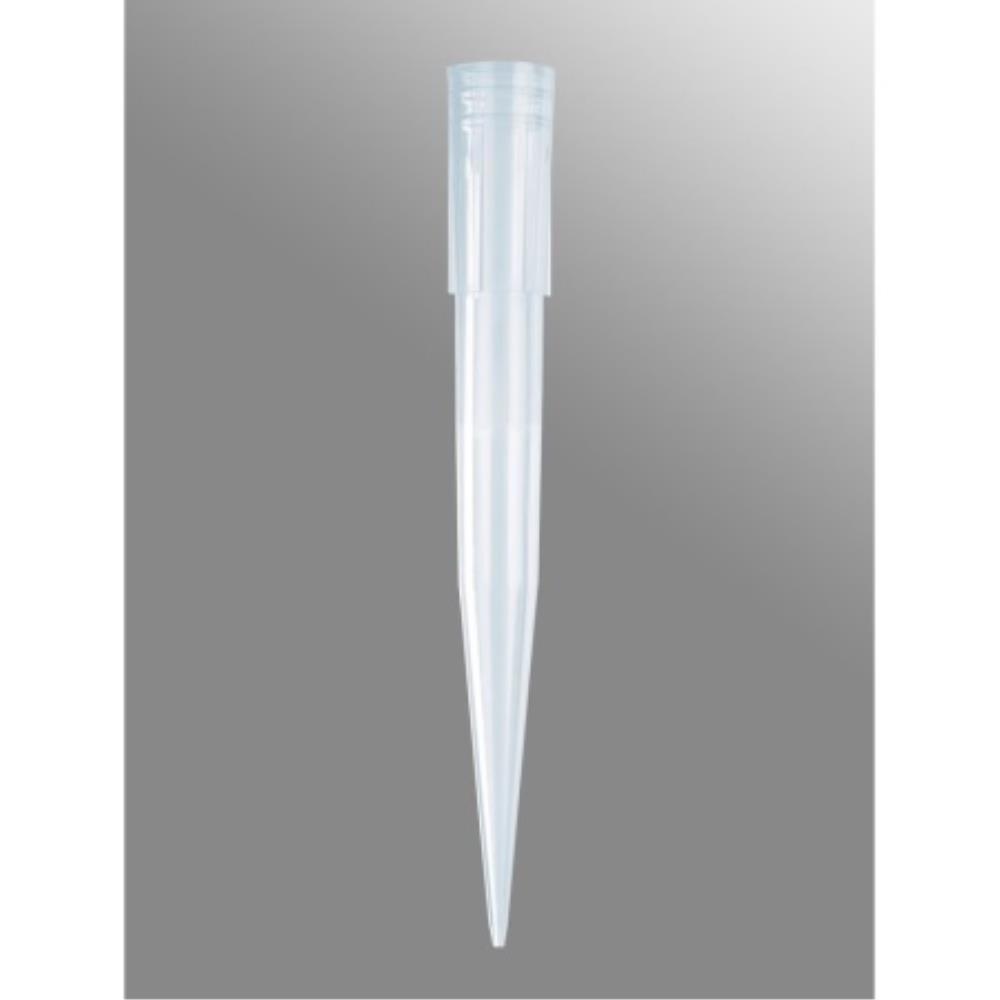 Axygen Pipette Tips Blue 1000u | B2B2296 | AXYGEN | SLS