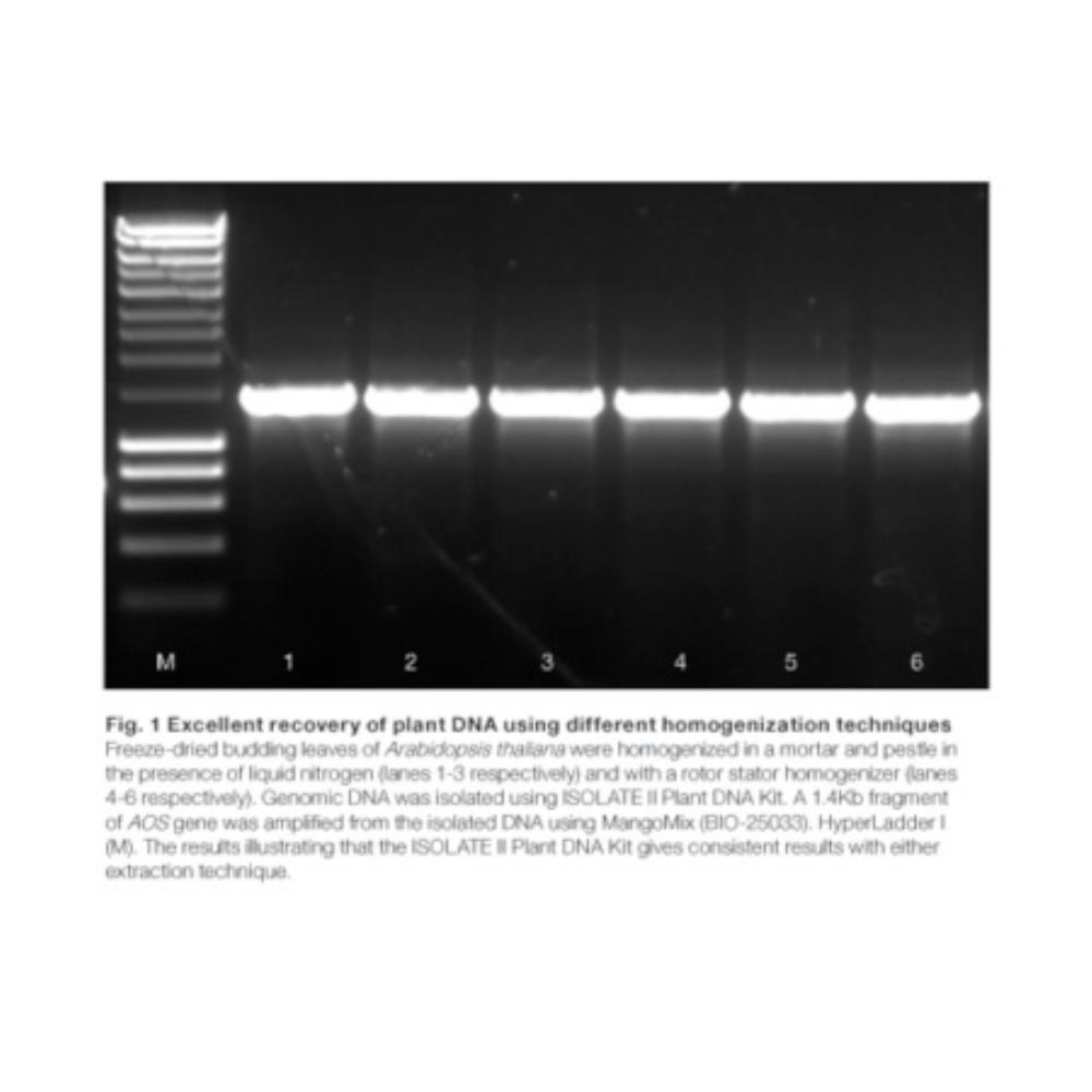 Meridian Bioscience ISOLATE II | BIO52070 | MERIDIAN BIOSCIENCE | SLS
