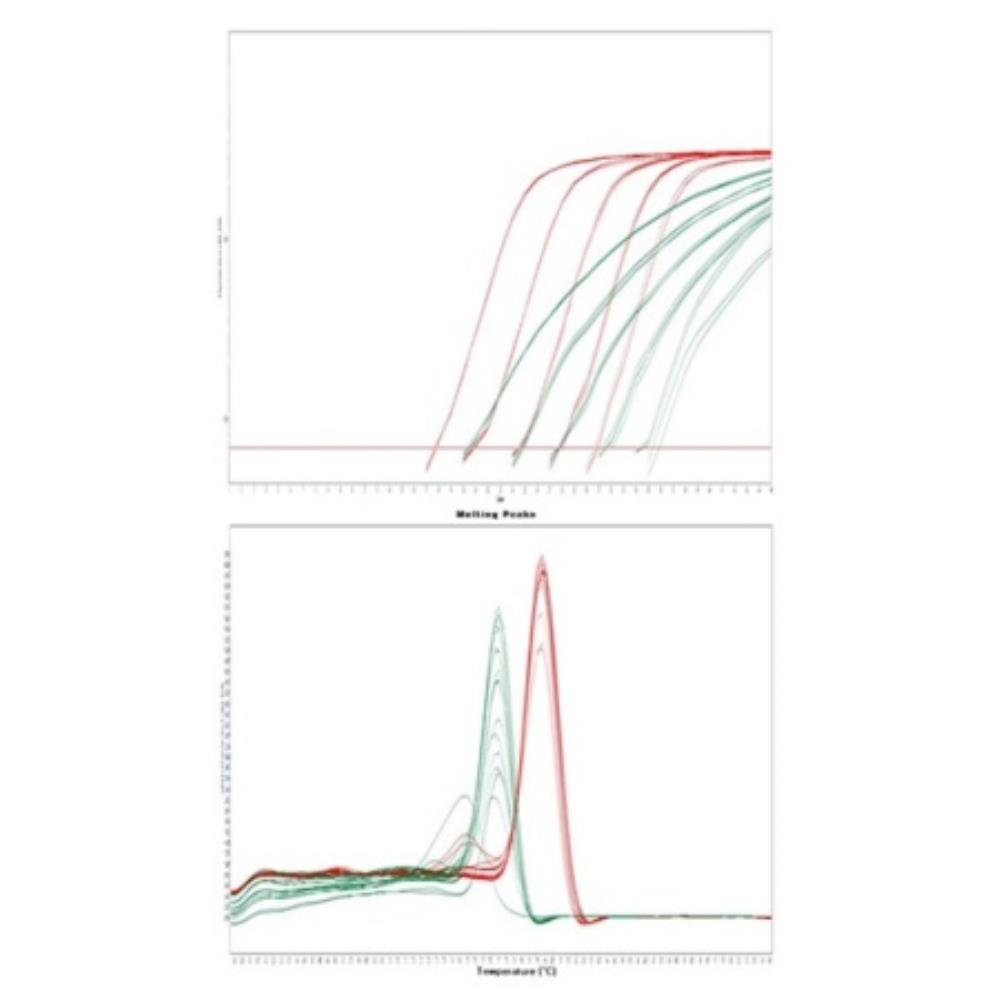 Meridian Bioscience SensiFAST | BIO74005 | MERIDIAN BIOSCIENCE | SLS