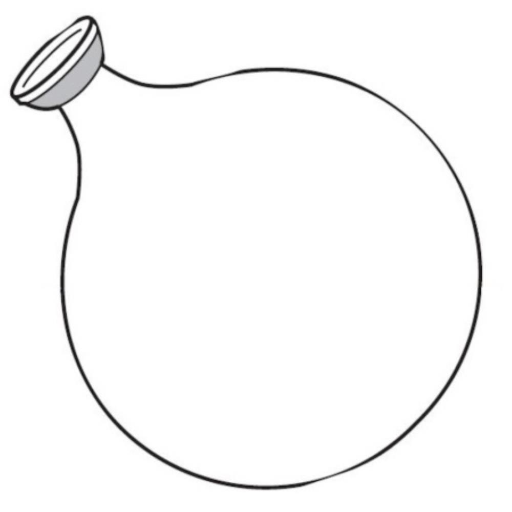 Receiving Flask 100mL | EVA5028 | COLE-PARMER | SLS