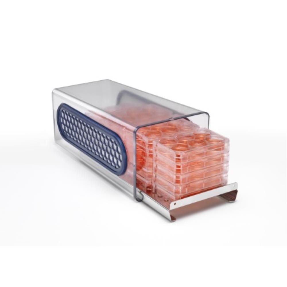 Thermo Scientific Single Cell | INC2670 | THERMO SCIENTIFIC | SLS