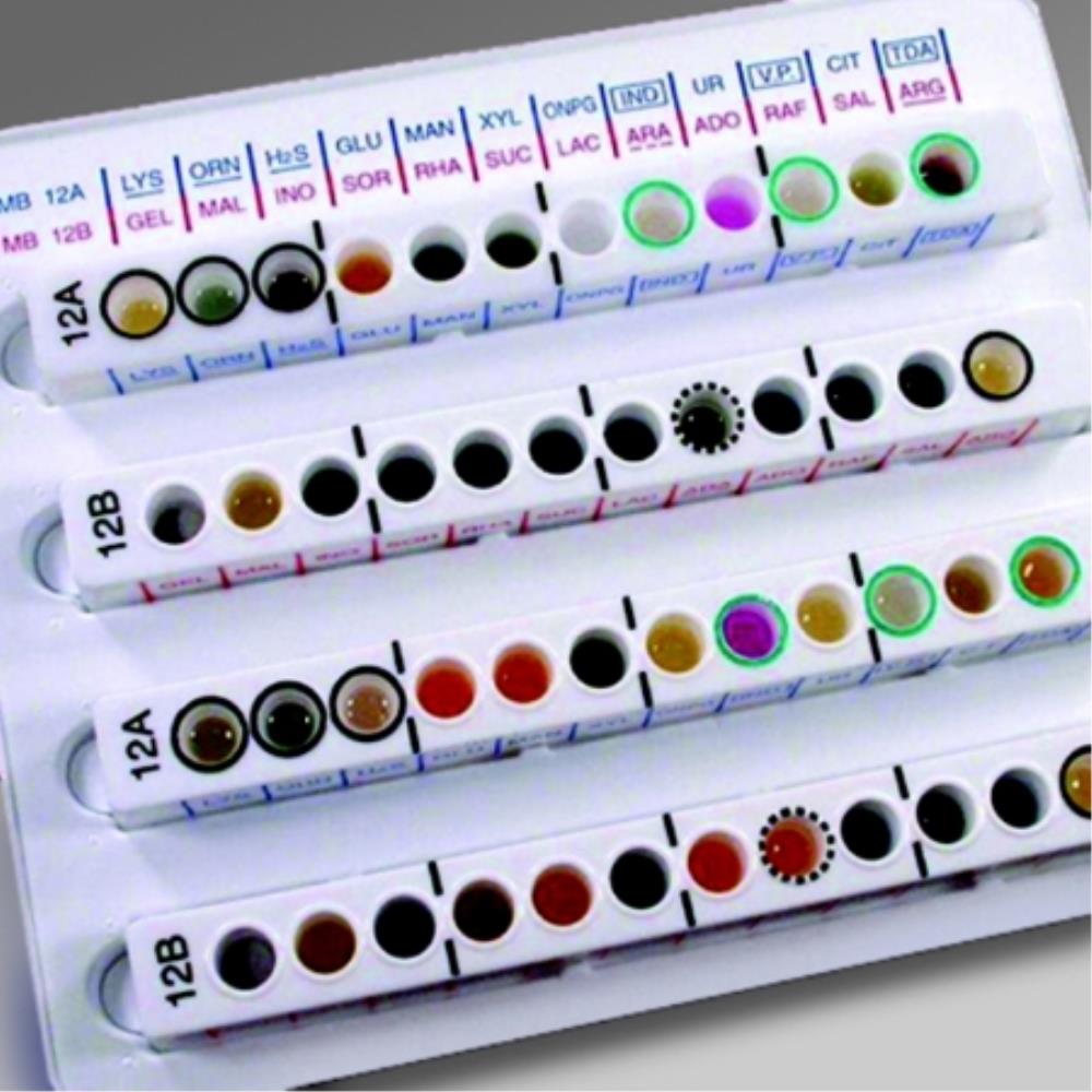 X Factor Diagnostic disc (5X50 | DD0003B | OXOID | SLS