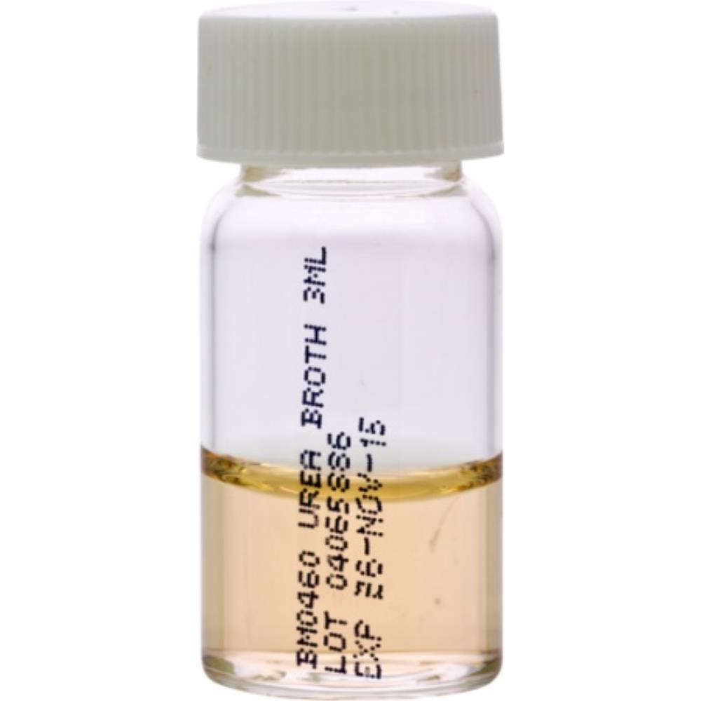 E+O Labs Urea Broth (50 x 3mL) | MED1076 | EO LABS | SLS