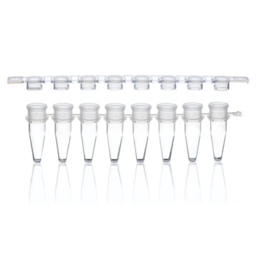 BRAND 0.2mL 8-Well PCR Tube St | mol2266 | BRAND | SLS