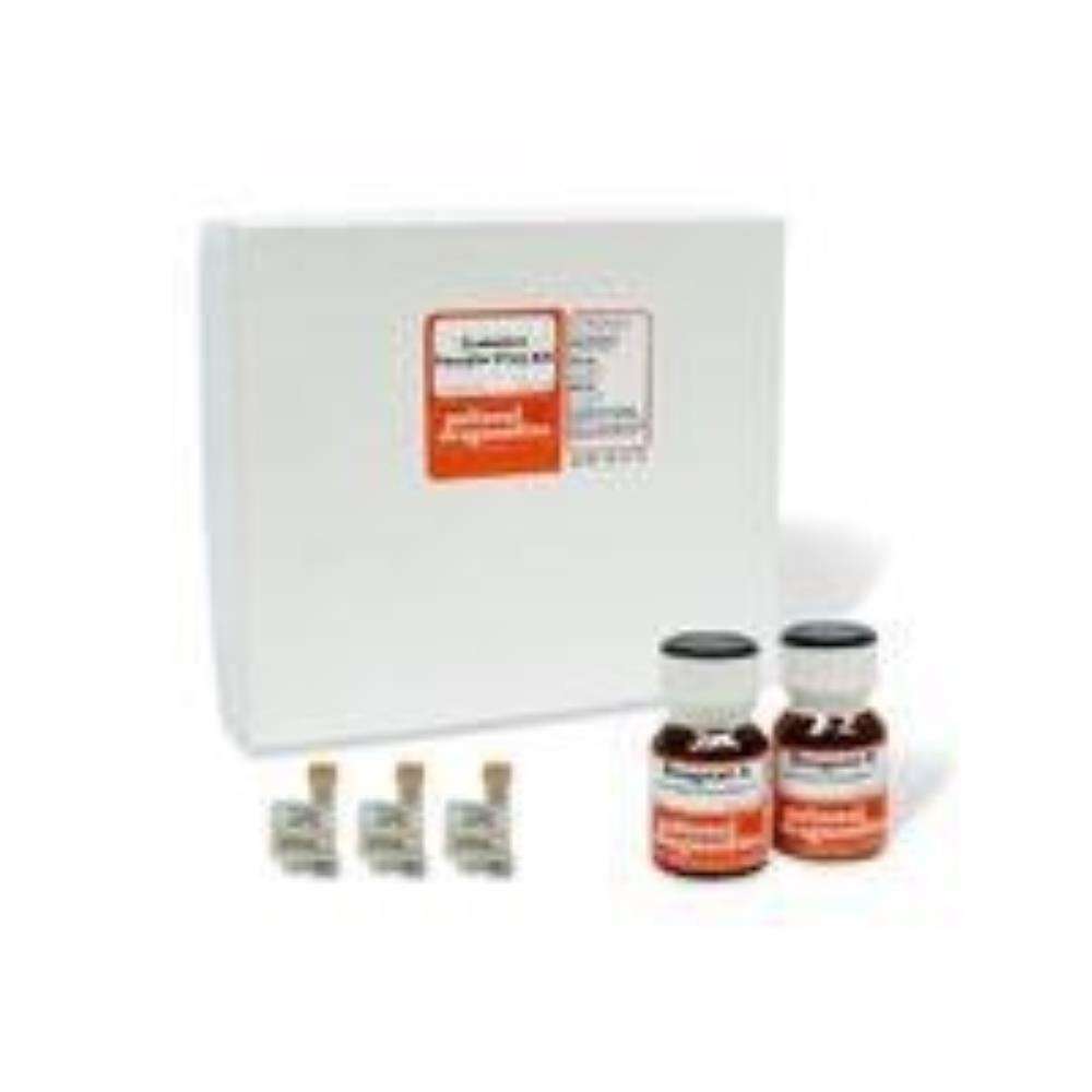 ProtoGel Protein Sample Prep K | nat1248 | NATIONAL DIAGNOSTICS | SLS