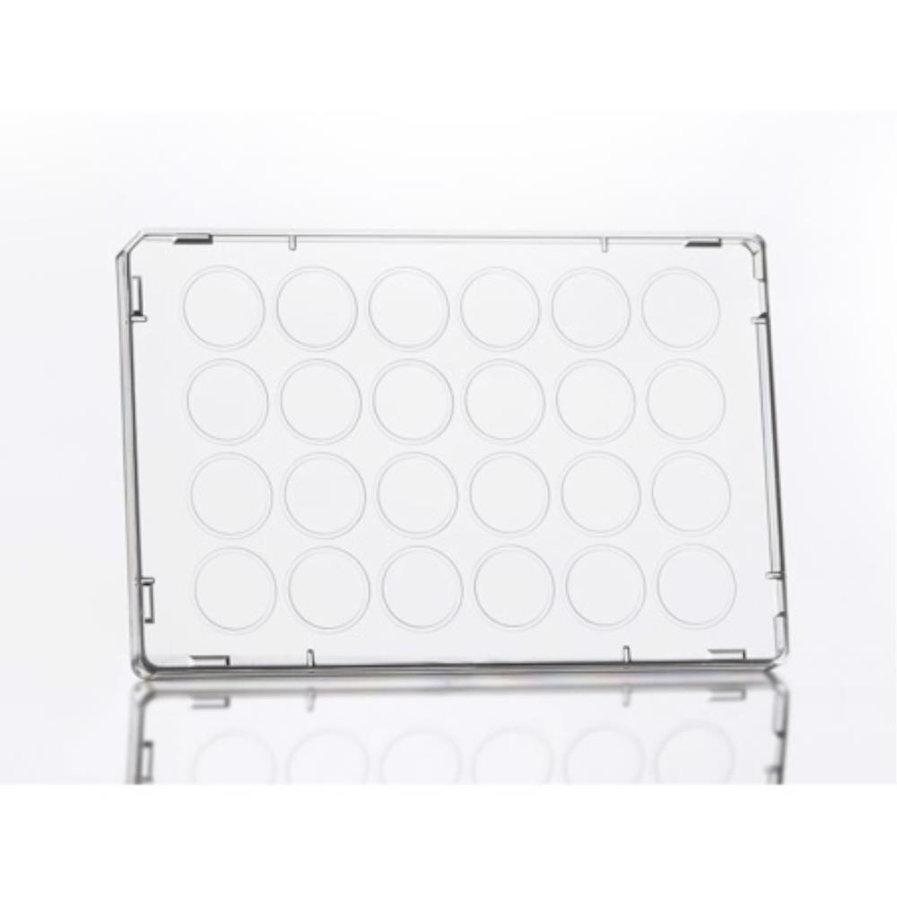 Azenta Life Sciences 24 Well A | PCR0382 | 4TITUDE | SLS