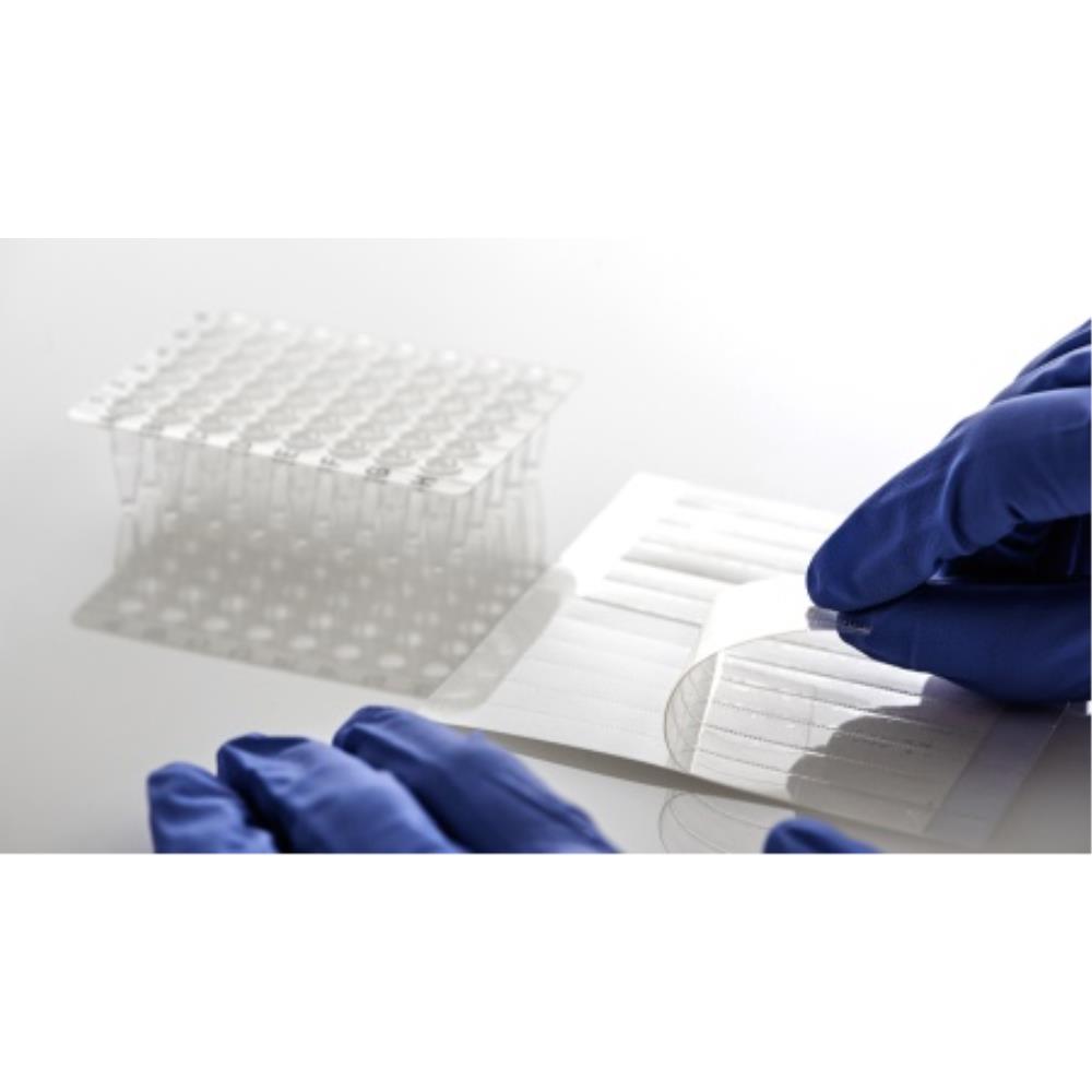 Azenta Life Sciences Adhesive | PCR0518 | 4TITUDE | SLS