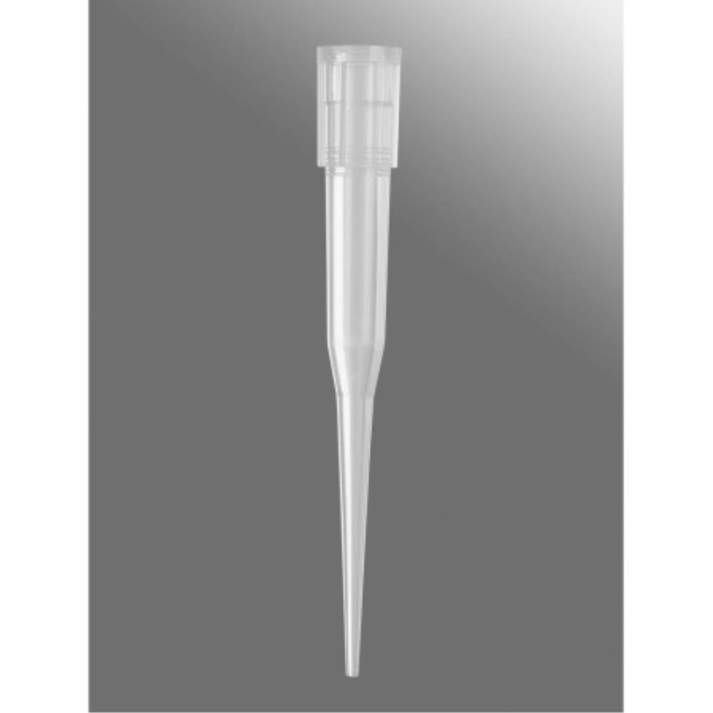 Axygen 250uL Clear Tips For Be | PIP1372 | AXYGEN | SLS