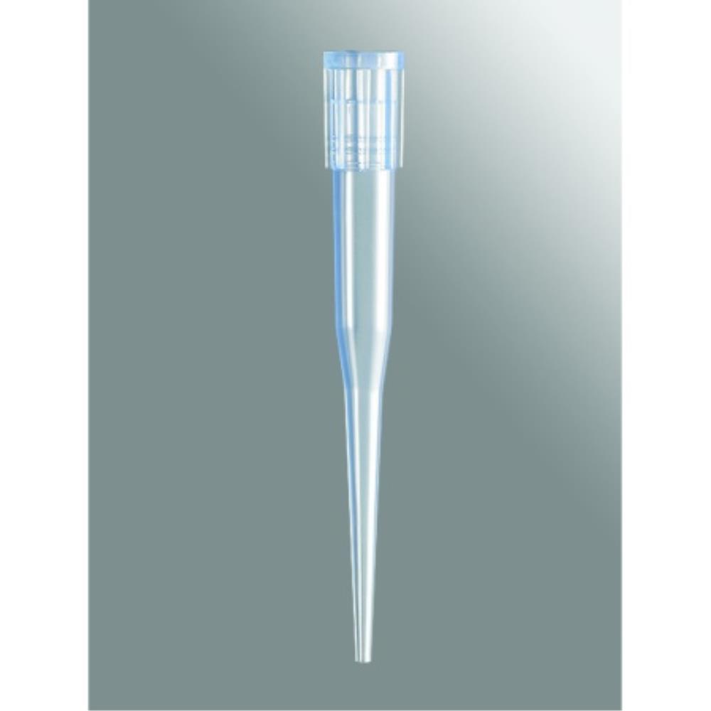 Axygen 250uL Clear Tips For Ag | PIP1782 | AXYGEN | SLS