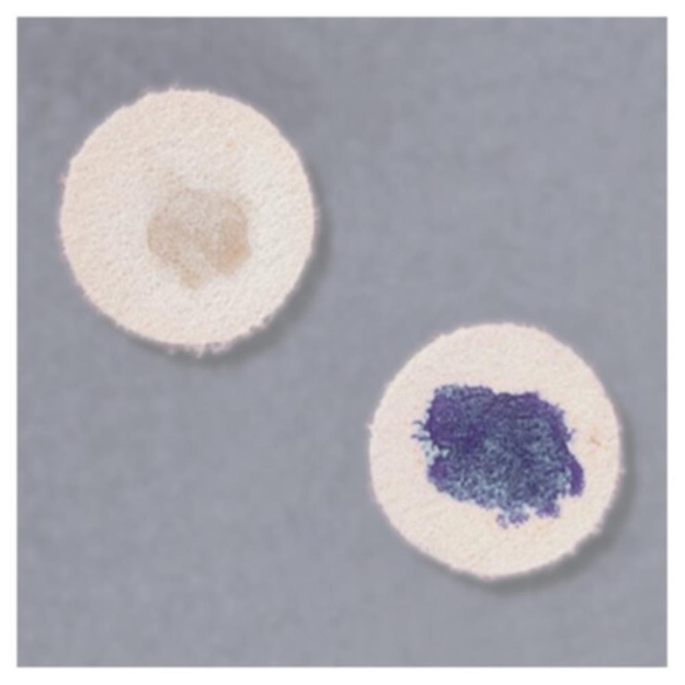 Thermo Scientific Oxoid Remel | R21132 | OXOID | SLS