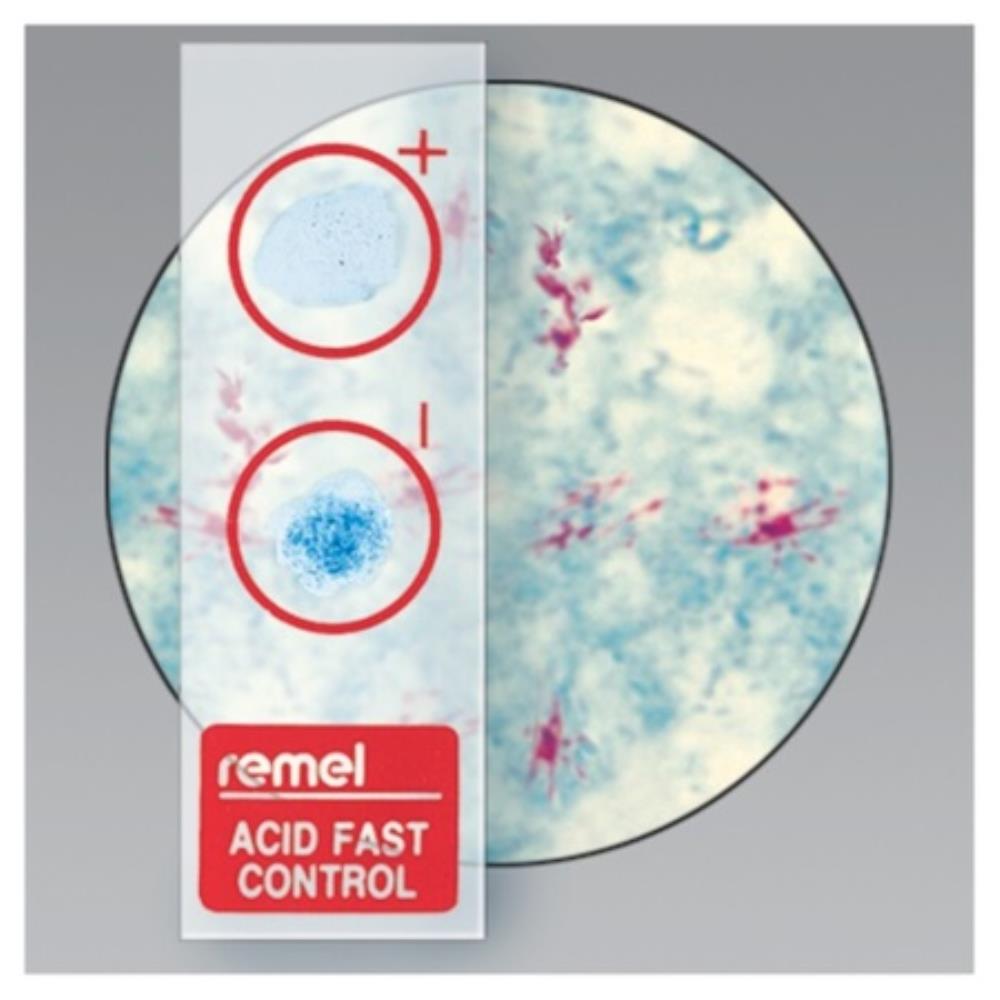 Thermo Scientific Remel QC-Sli | R40144 | OXOID | SLS