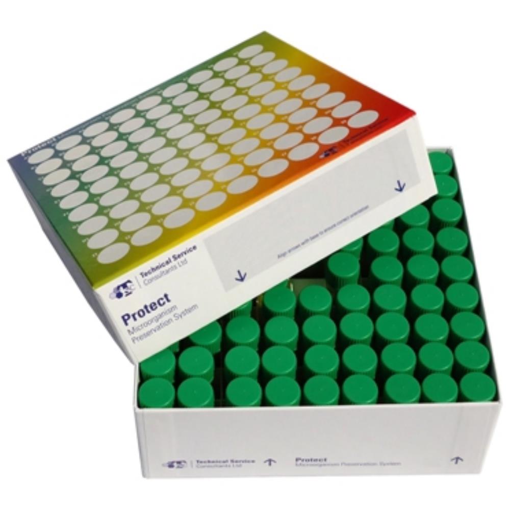 Protect Beads Green | SWA1151 | SLS