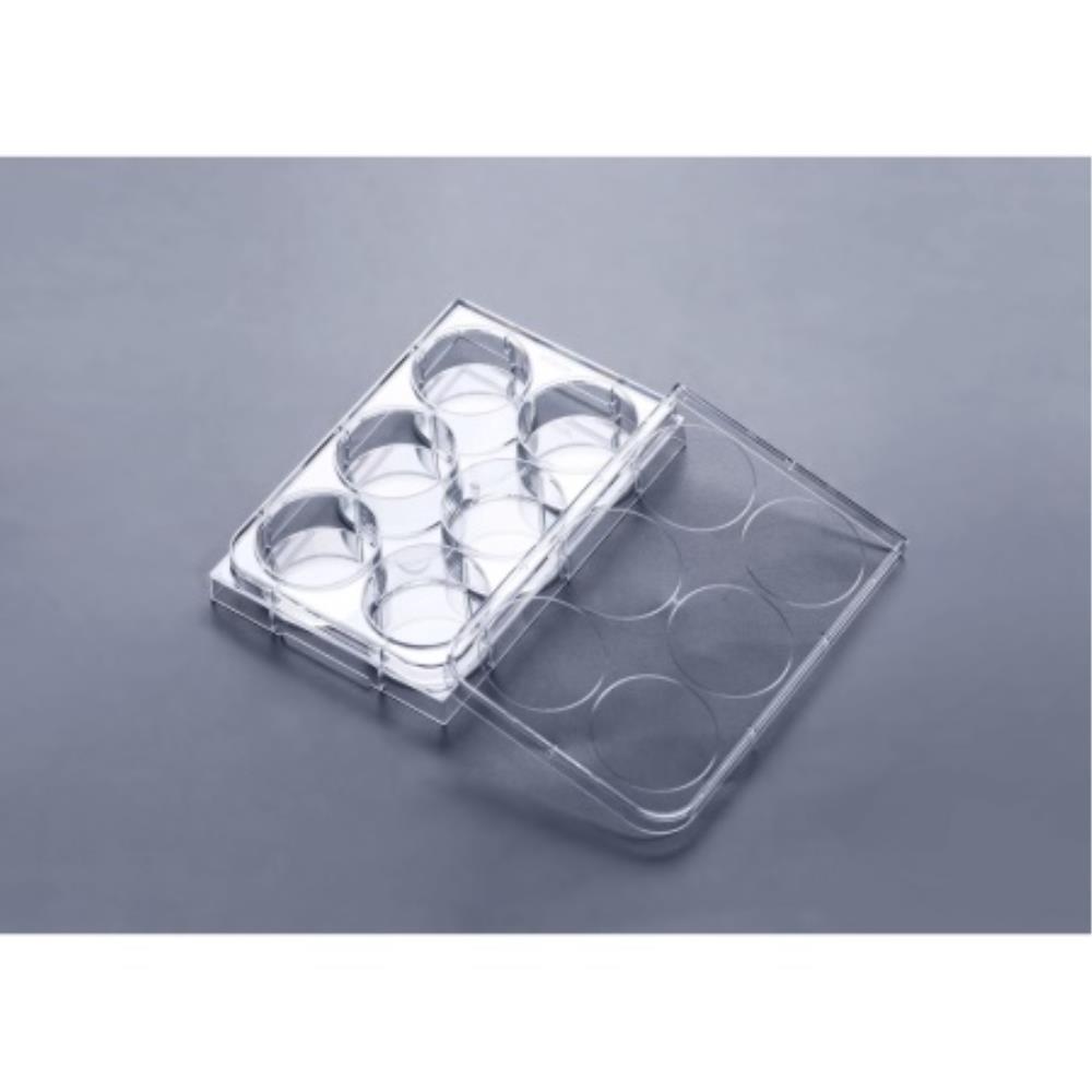 Cell Scientific Polystyrene Ti | TIS1012 | CELL SCIENTIFIC | SLS
